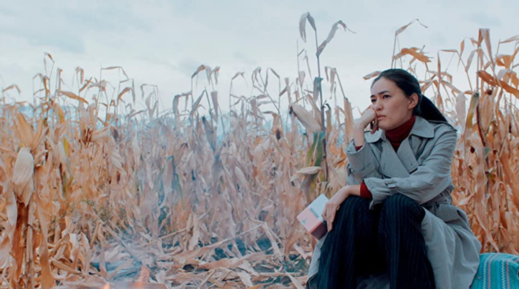 Scripted TV Series Distribution - Videoplugger